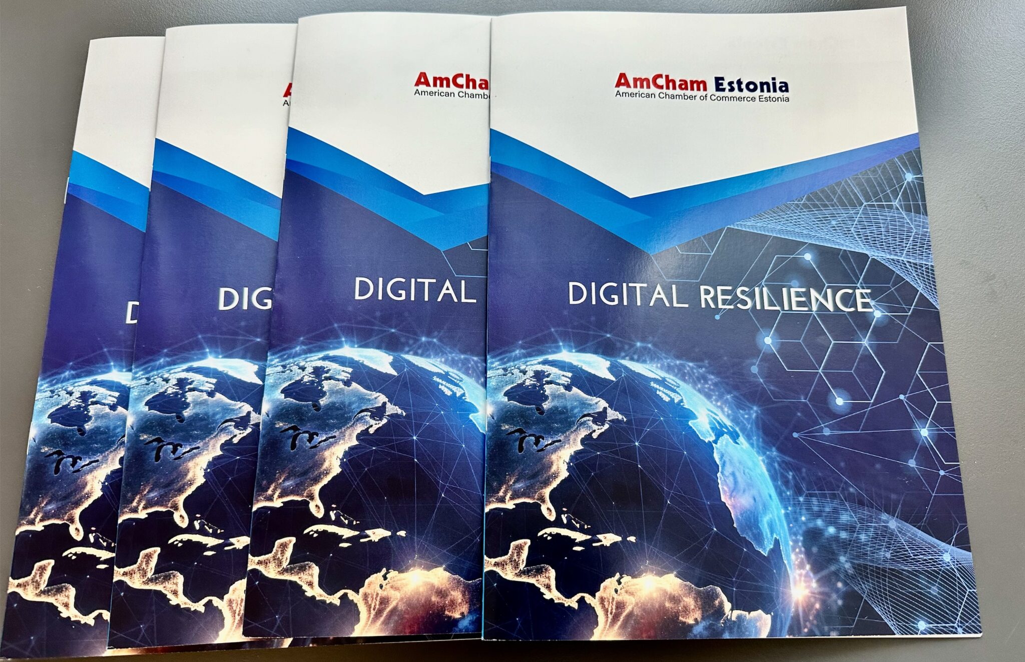 AmCham Digital Society Committee Presents Its New Position Paper on ...